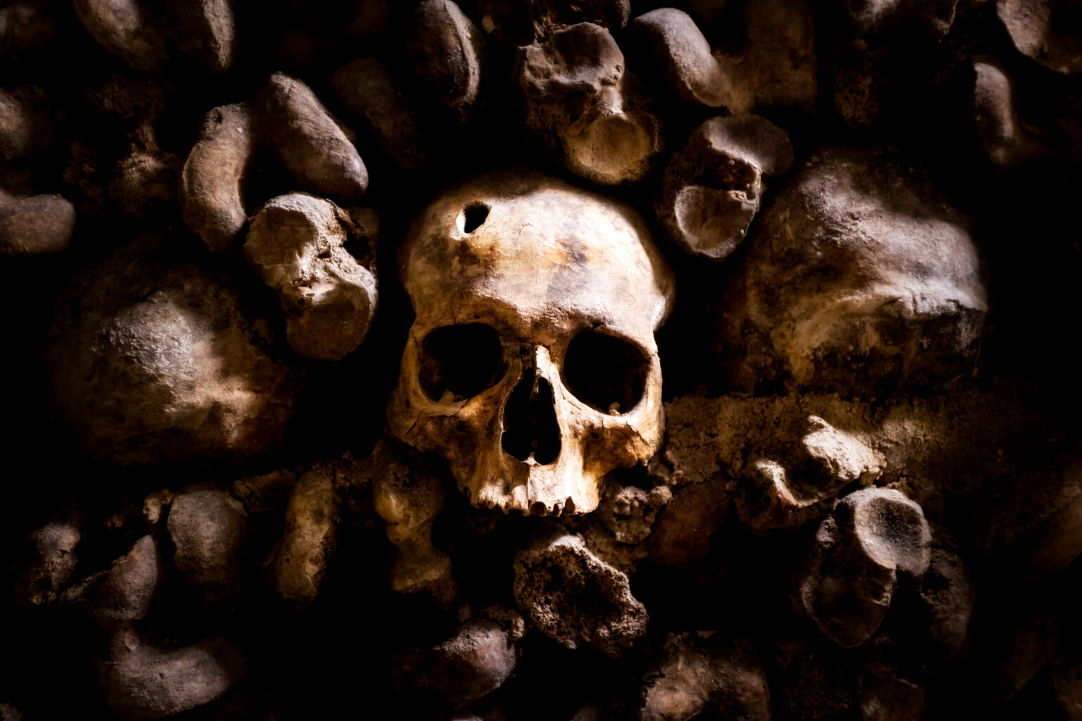 Breaking Down the Massive Scale of Paris’ Underground Catacombs