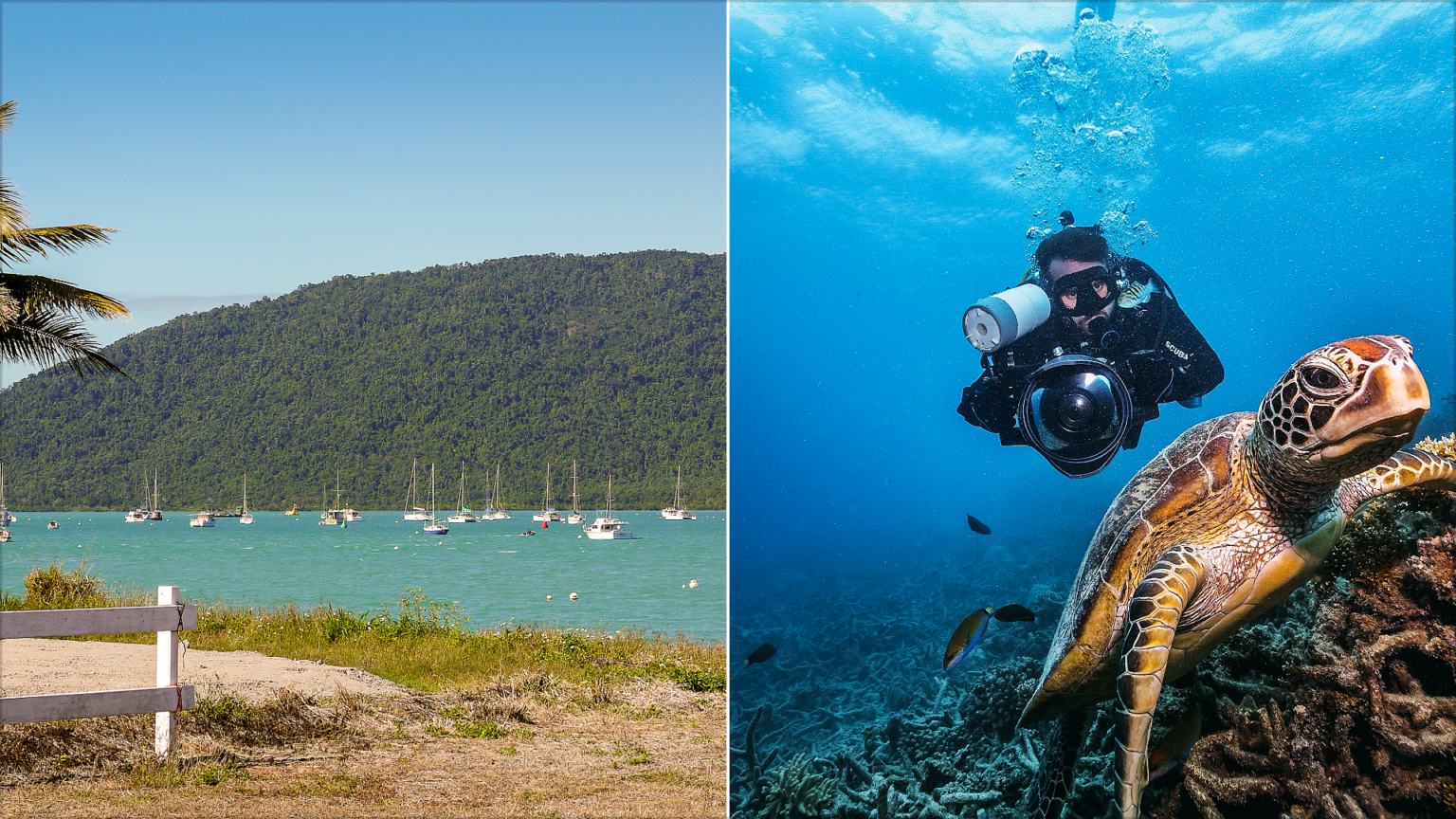 Nearest Airport to the Great Barrier Reef: How to Choose the Best ...